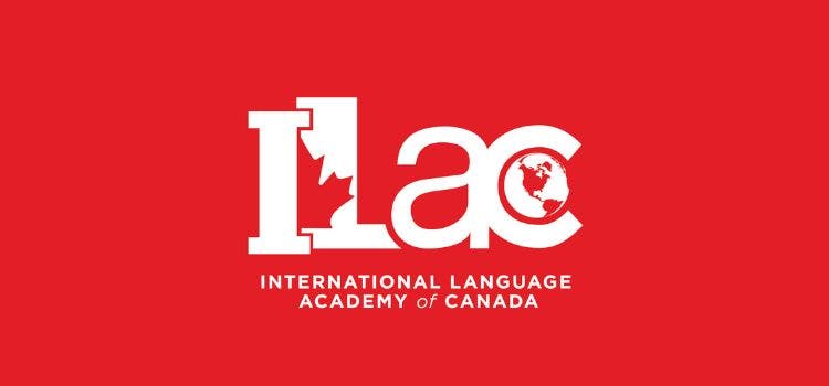 Top 9 Mejores Escuelas de Inglés en Canadá en el 2025 | Papora