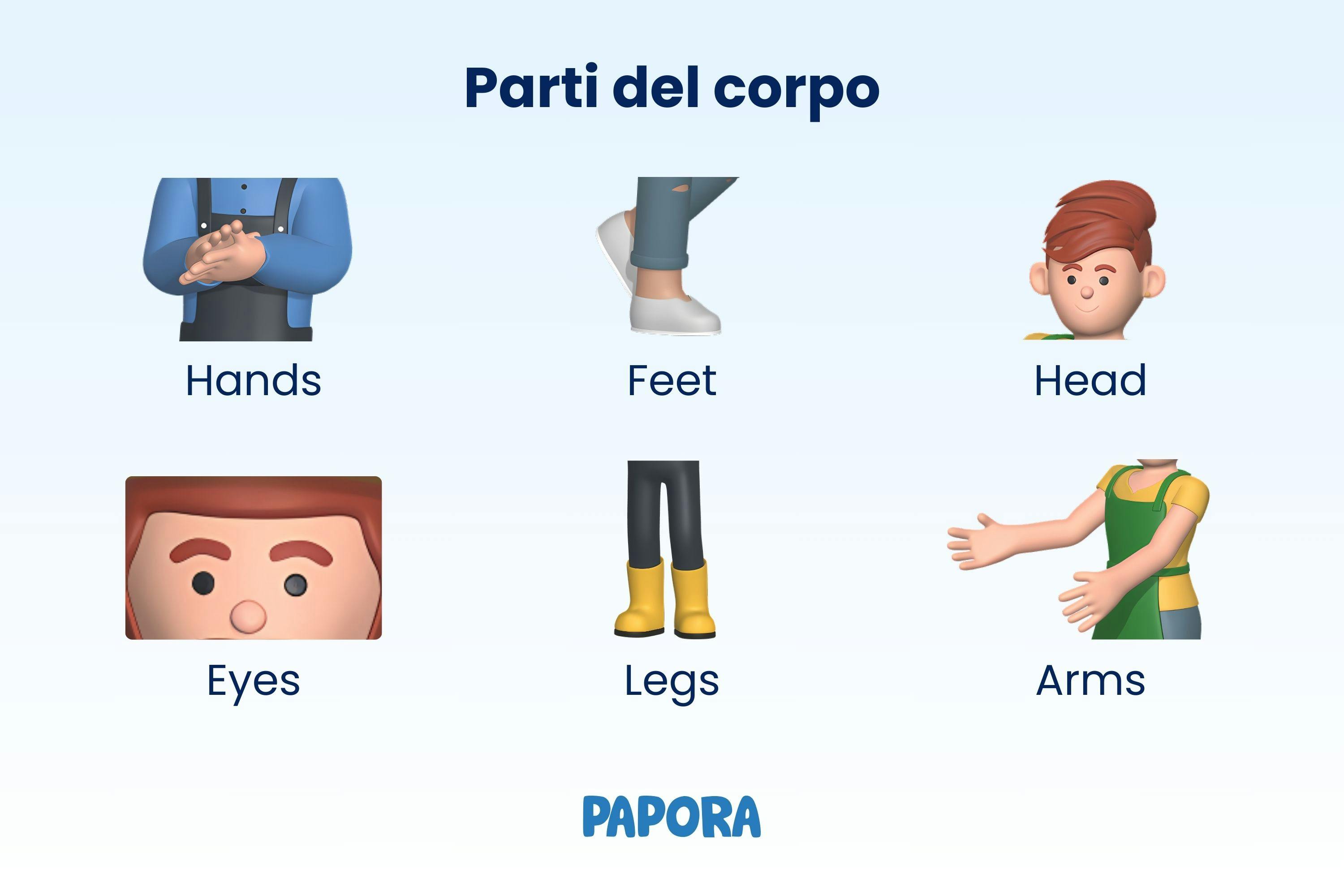 Le Parti del Corpo in Inglese: Imparale Tutte | Papora