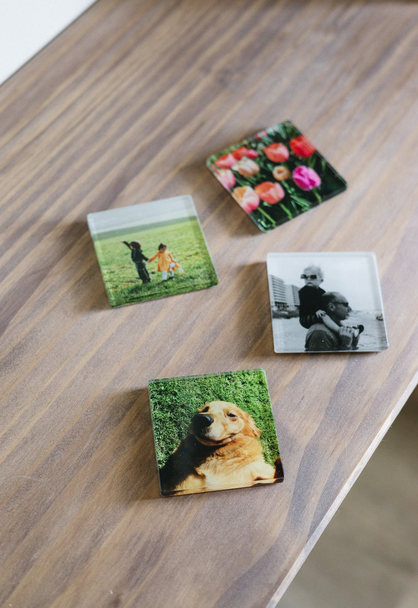 Parabo Press Acrylic Magnets
