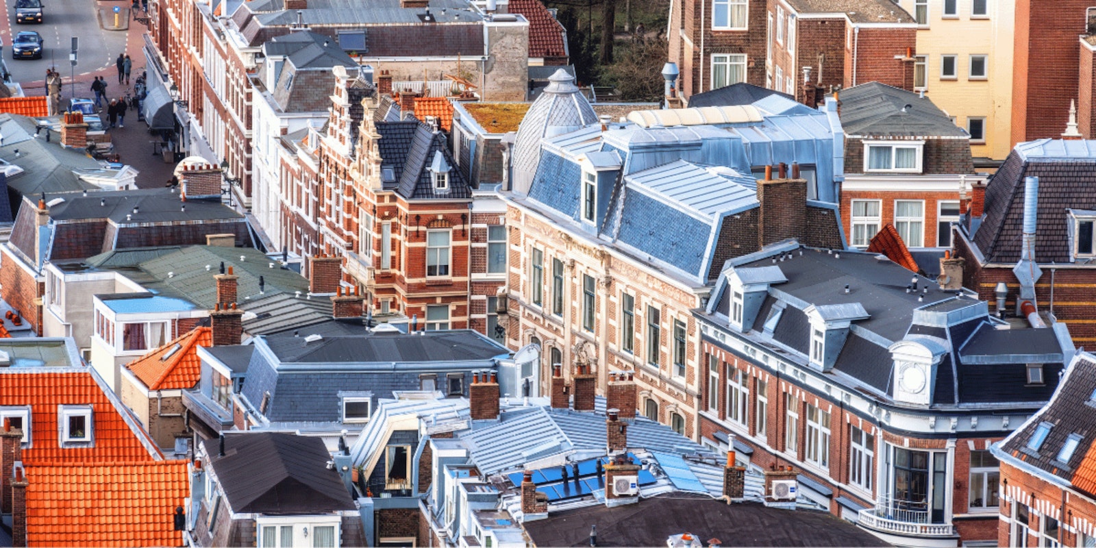 The Dutch rental market