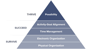 Pyramid Of Productivity