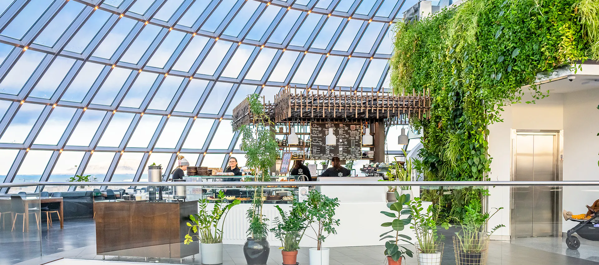 The 8 Best Reykjavik Coffee Shops | Perlan