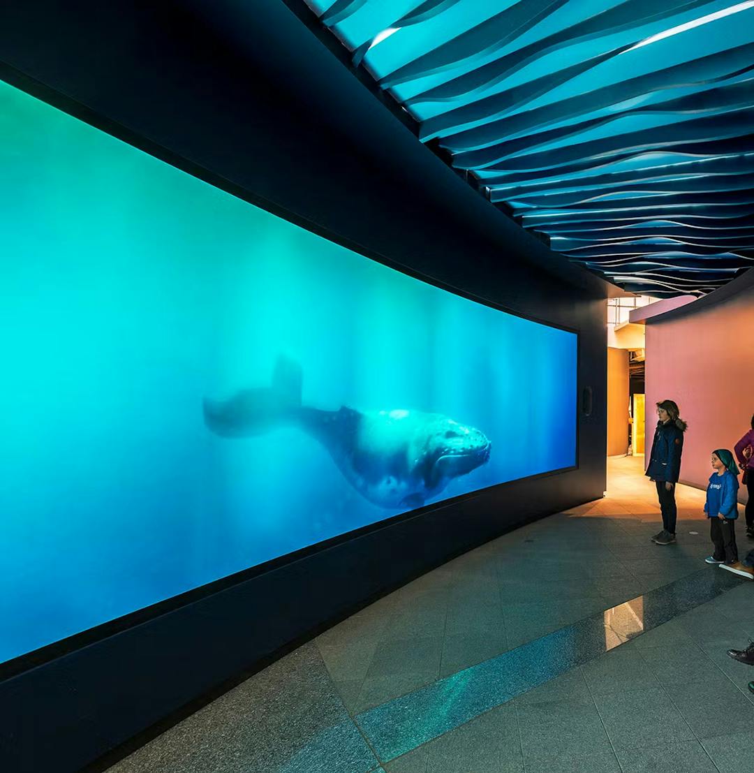 Explore Iceland's Oceans | Interactive Nature Museum | Perlan