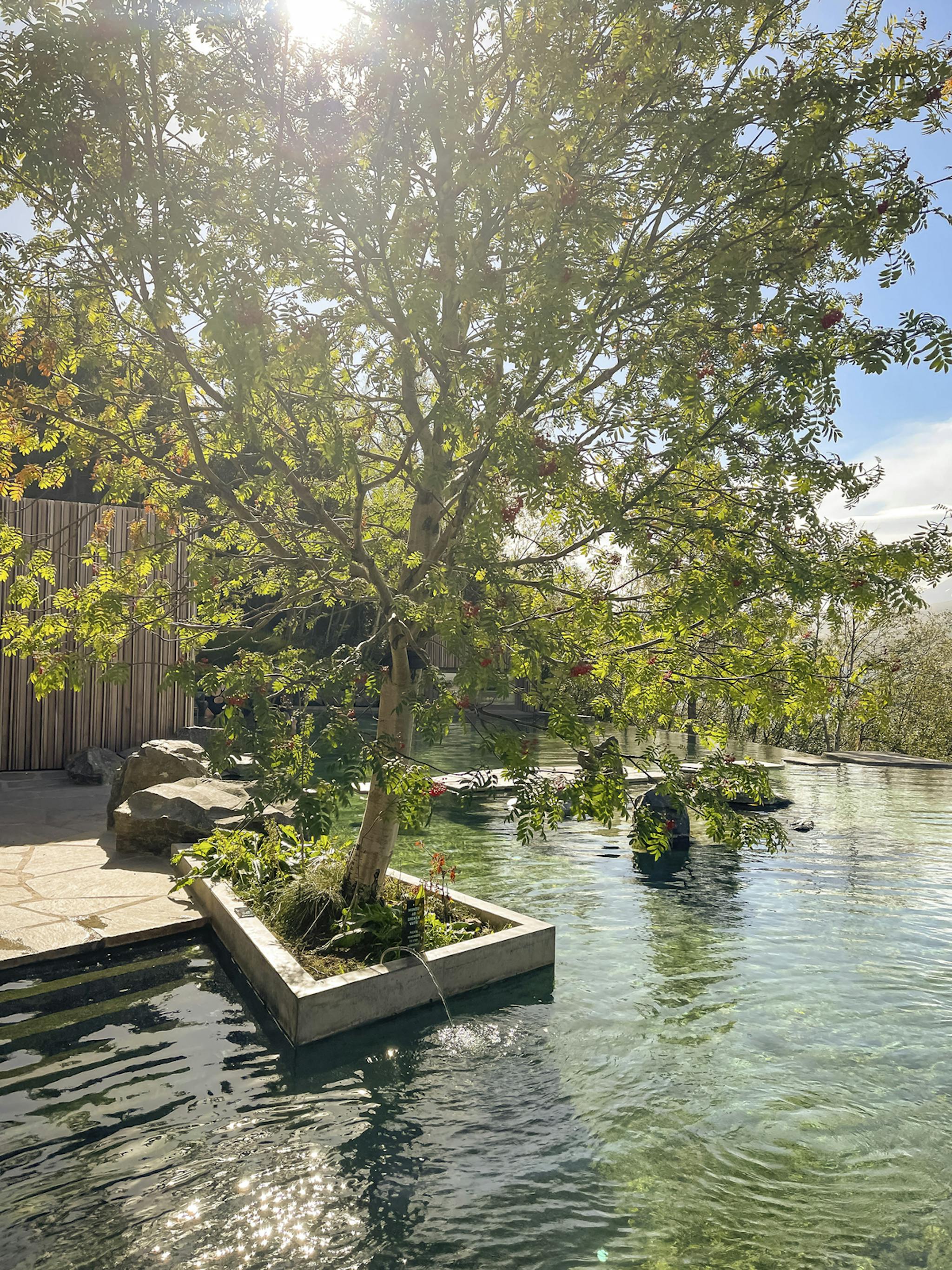 Guide to Forest Lagoon | Lagoons in Iceland | Perlan
