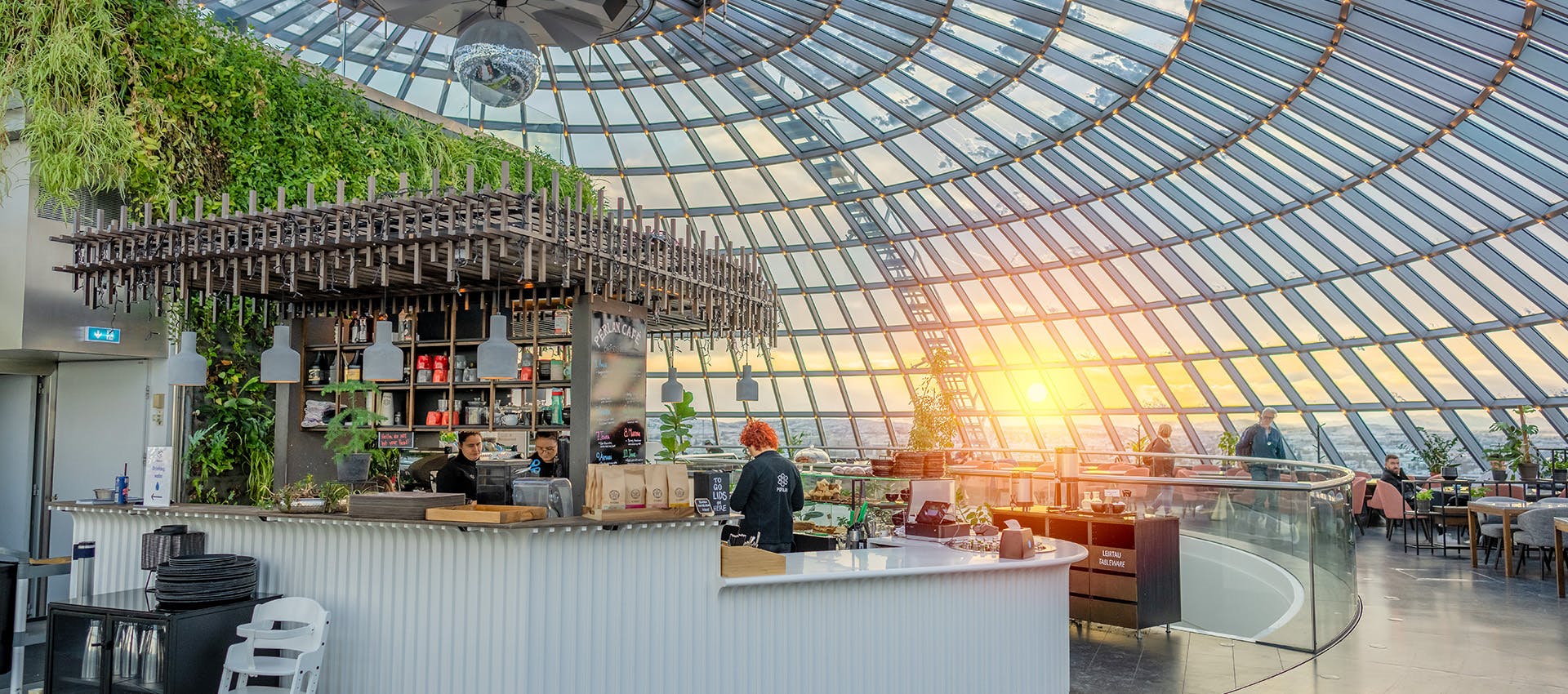 The Best 12 Restaurants in Reykjavík | Perlan