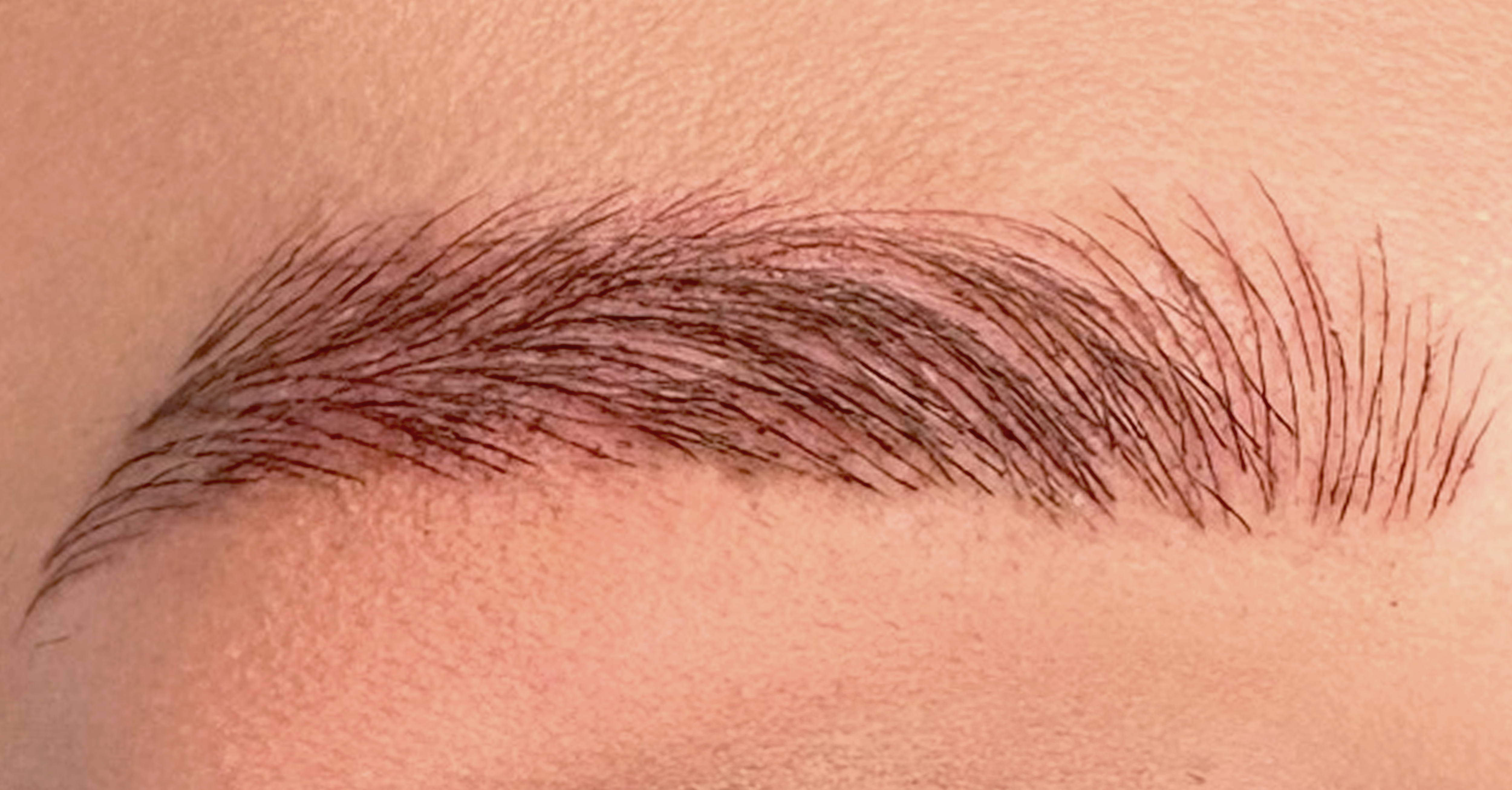 PhiBrows Hairstrokes Combo technique | PMU | PhiAcademy