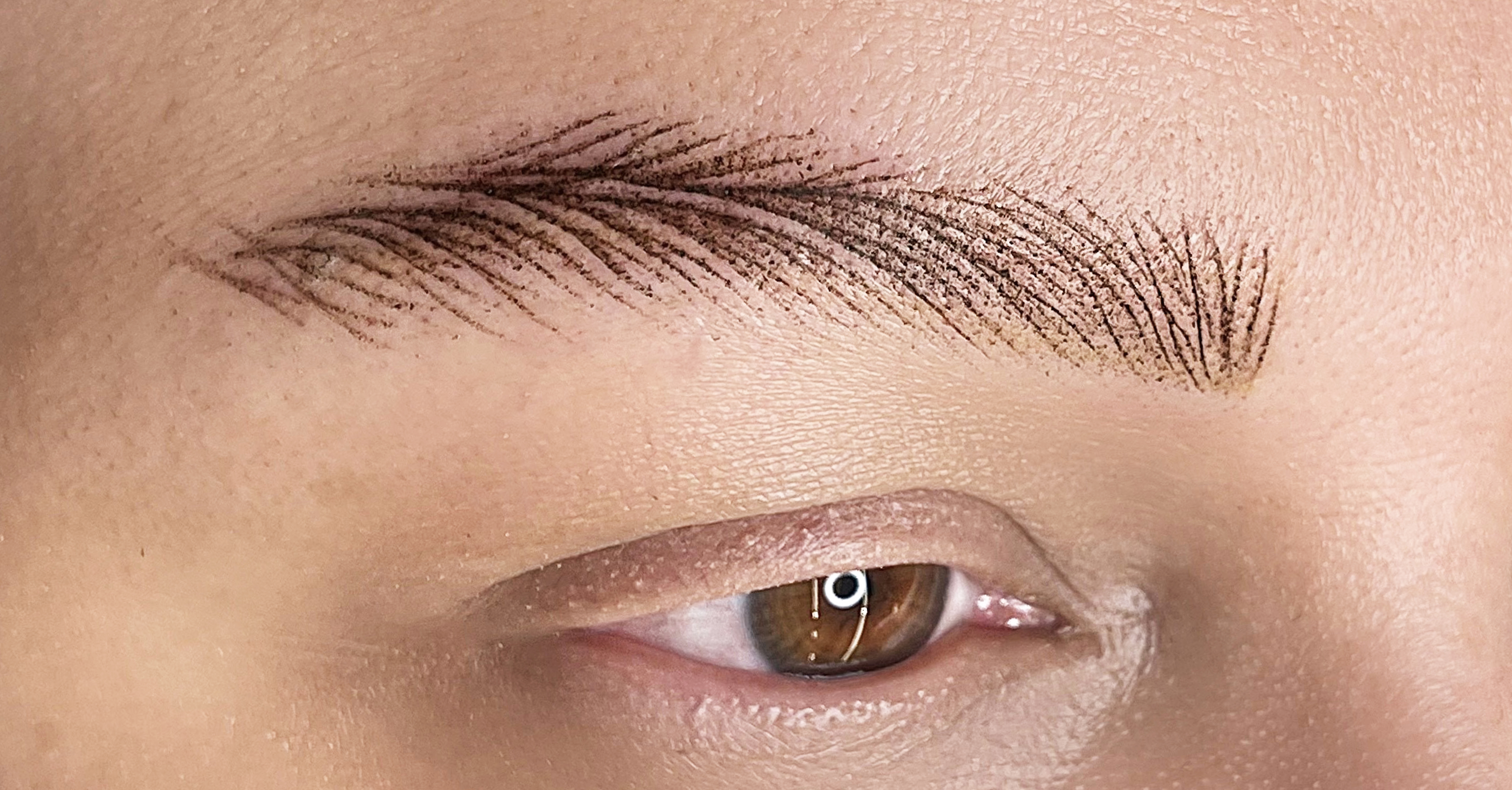 FlushBrows course & certification | Phi Academy