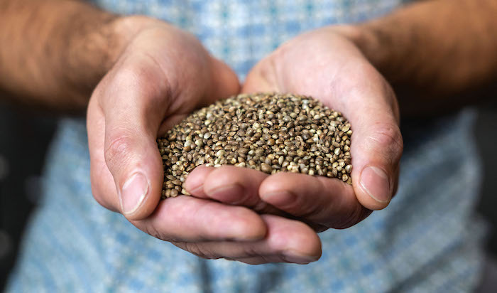 Phylos - Unlocking the potential of hemp and cannabis - Phylos Bioscience