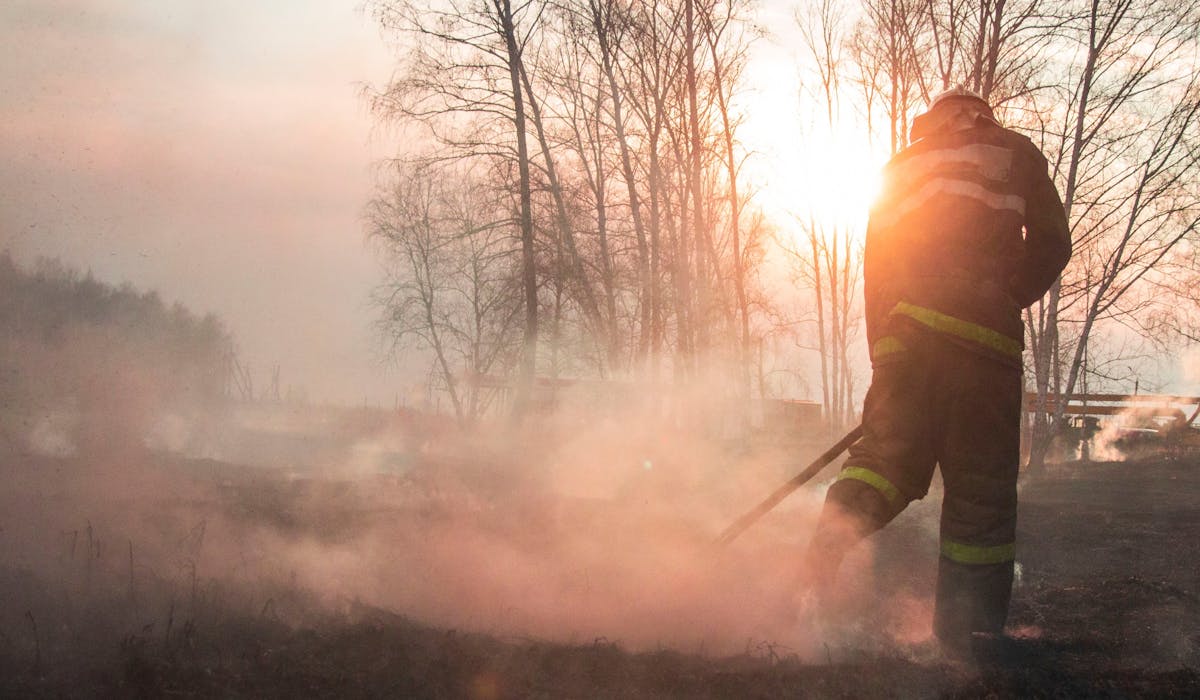 9 Ways to Detox Your Lungs After Wildfire Smoke Inhalation