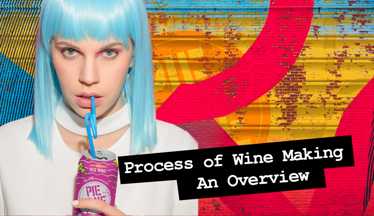 Process of Wine Making- An Overview - Wine and Pizza