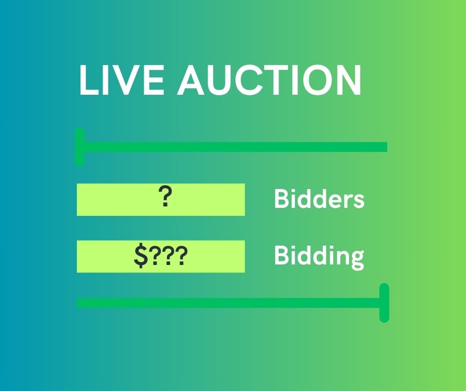 A Guide to Placing Orders in Auctions