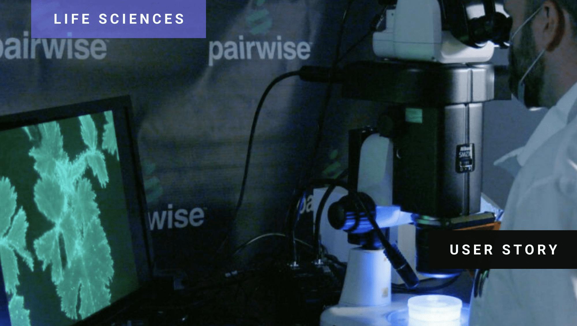 Pairwise Accelerates Food and Tech Innovation with Python and Dash ...