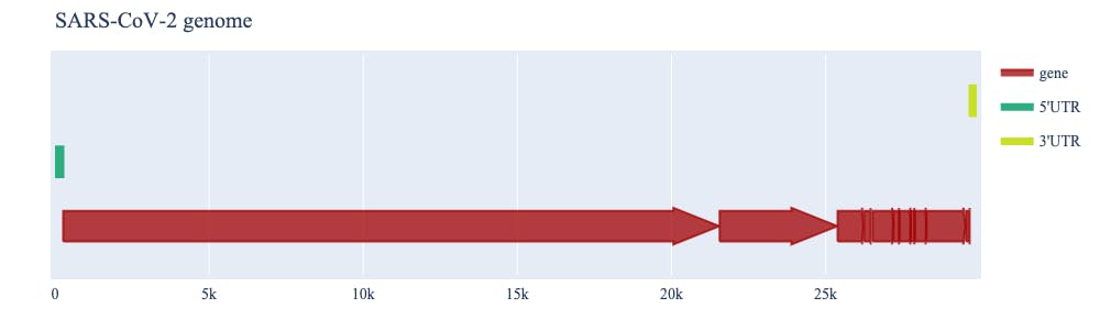 Decoding genomes with cogent3 + Plotly Decoding genomes with cogent3 + Plotly