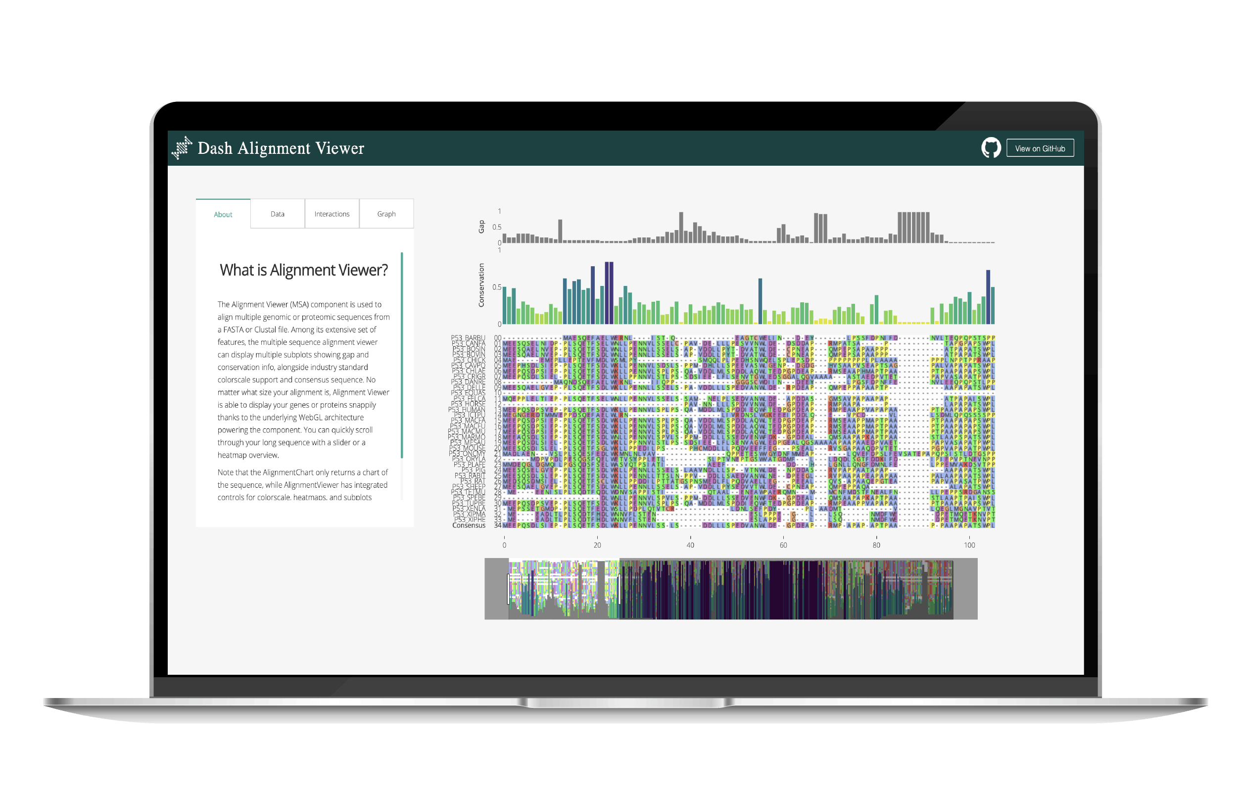 Experience Dash Bio for R