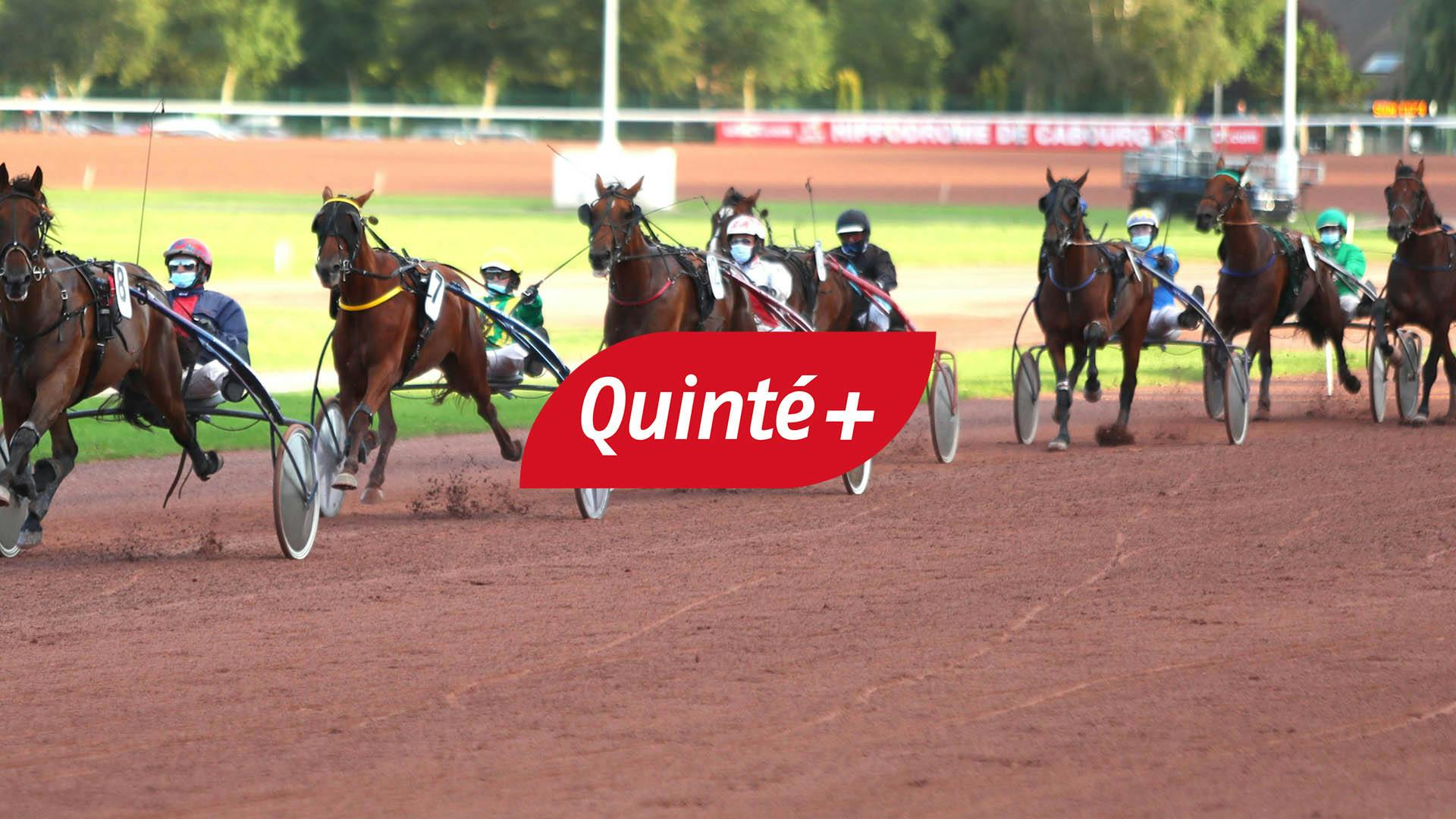 Analyse du Quinté+ du jour