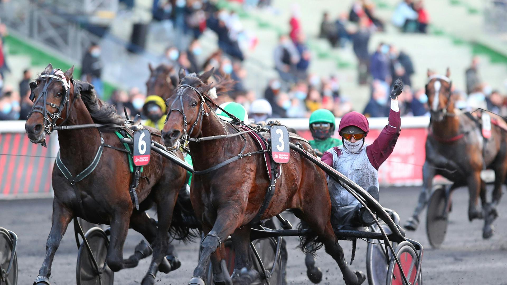 Critérium Continental - Prix d'Amérique Races Q#3 : infos et résultats