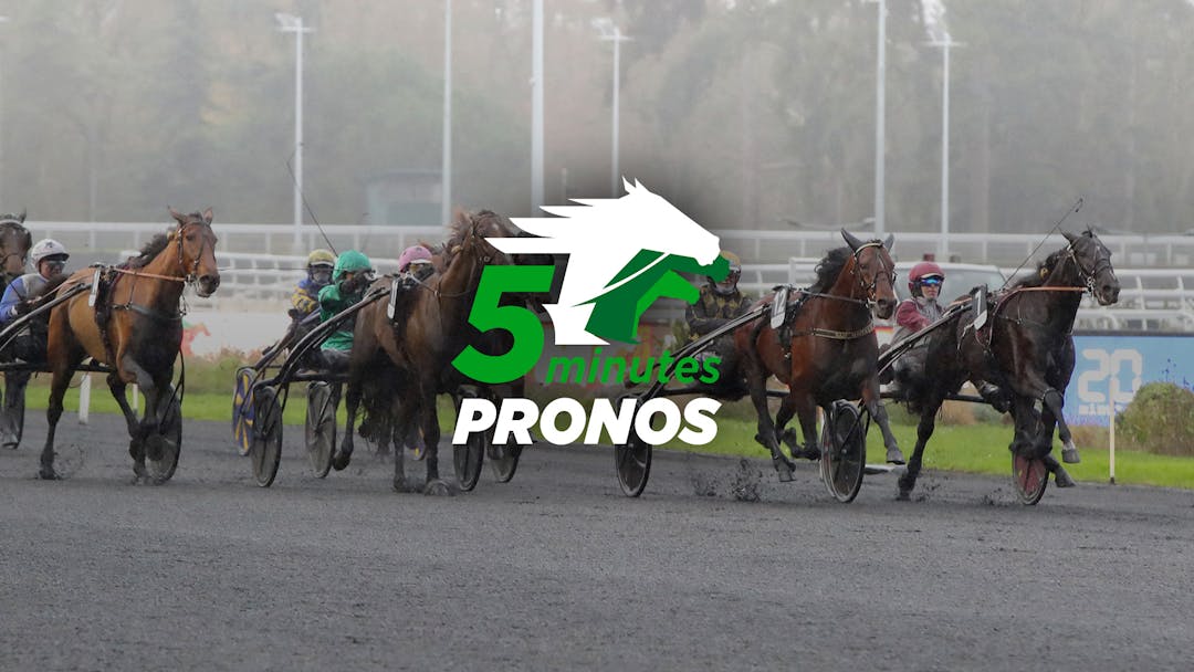 PMU.fr : Turf, Programme des courses du jour, Actualité hippique ...