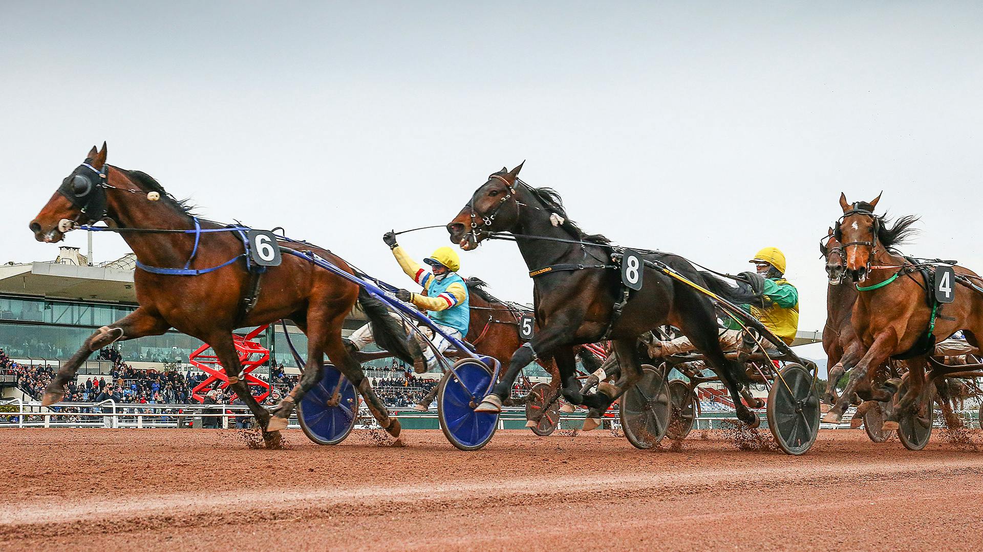 Hippodrome de Cagnes-Sur-Mer : caractéristiques, accès, infos pratiques