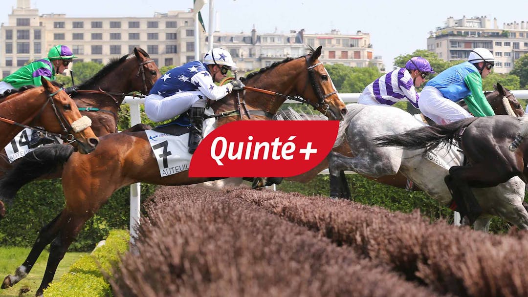 PMU+ : Turf, Programme des courses du jour, Actualité hippique, Pronostics