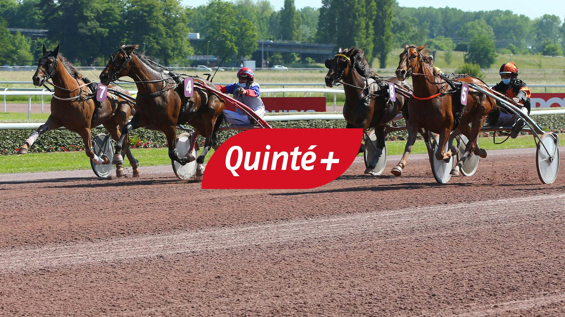 Analyse du Quinté+ du jour