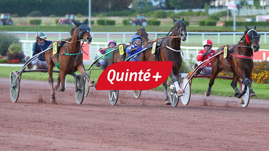 PMU+ : Turf, Programme des courses du jour, Actualité hippique, Pronostics