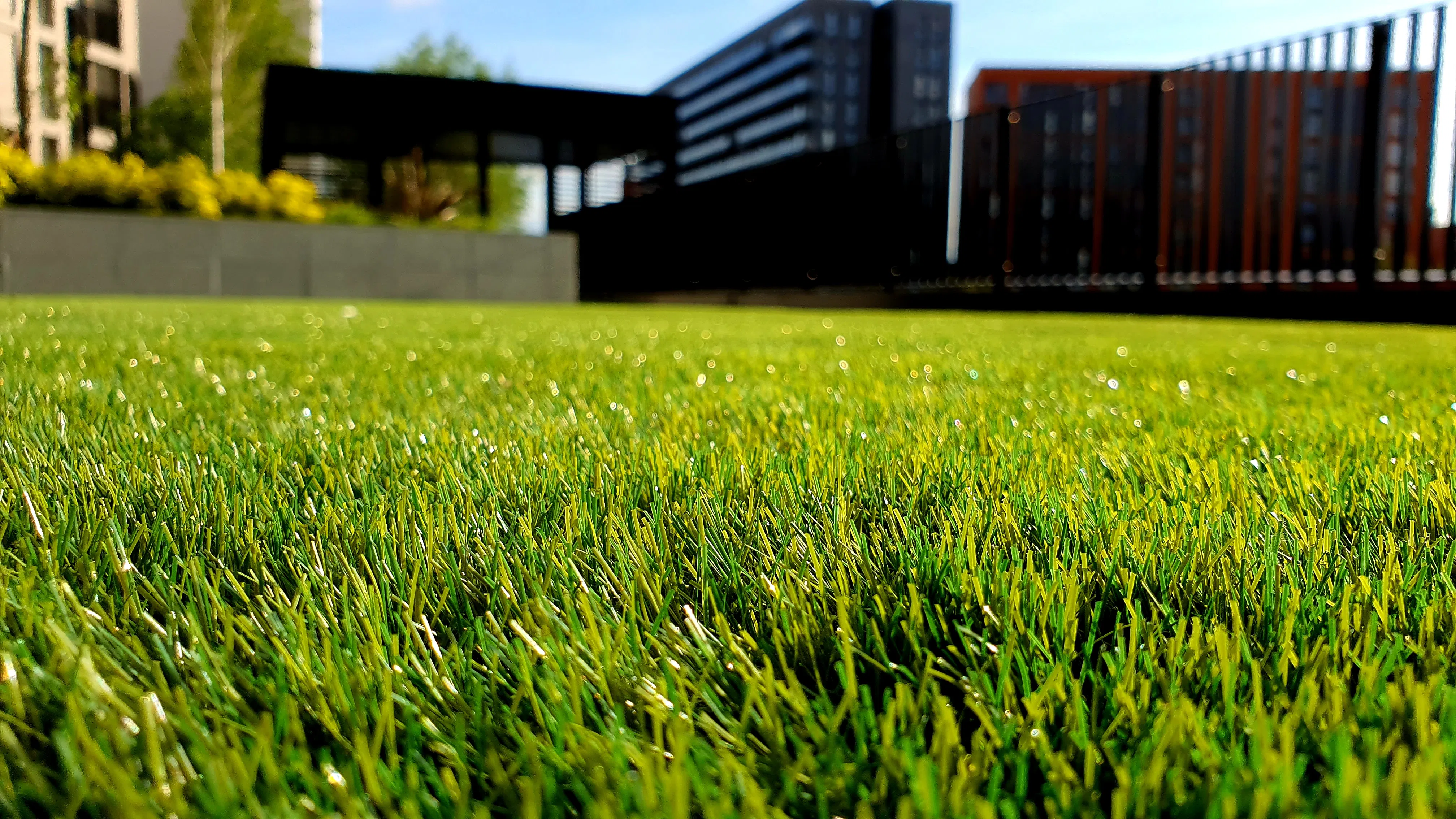 What's the Best Way to Find Affordable Lawn Care? | Topics Unlocked