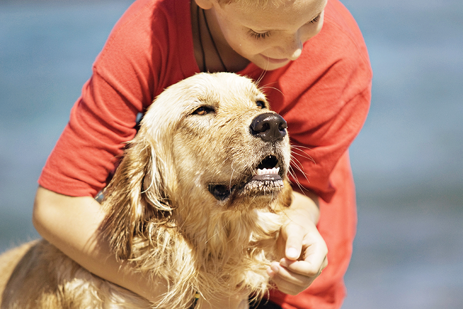 Child/Dog Safety Guide | Positively.com