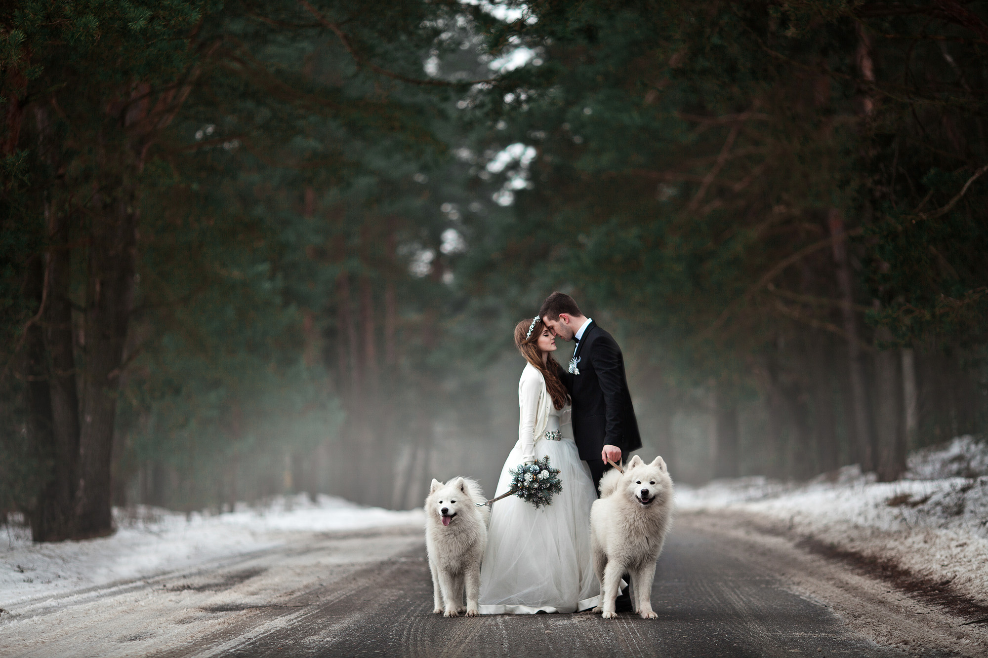 Post: Top 10 Tips For Including Your Dog In Your Wedding | Positively.com