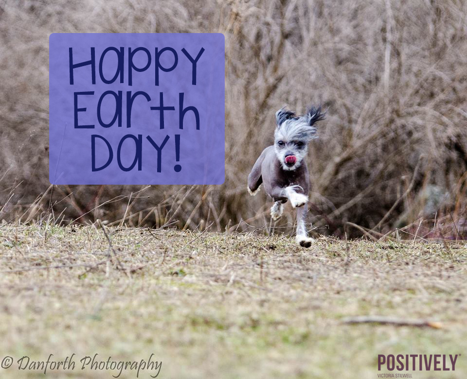 Post: How To Have A Pet Friendly Earth Day | Positively.com