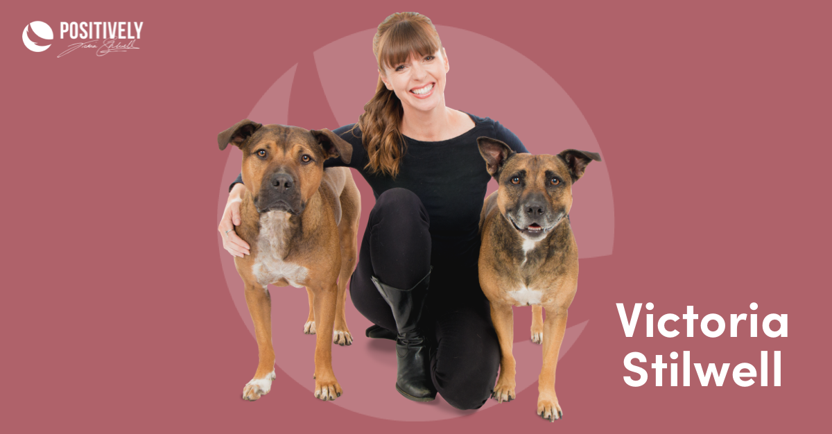 Victoria Stilwell | Positively.com