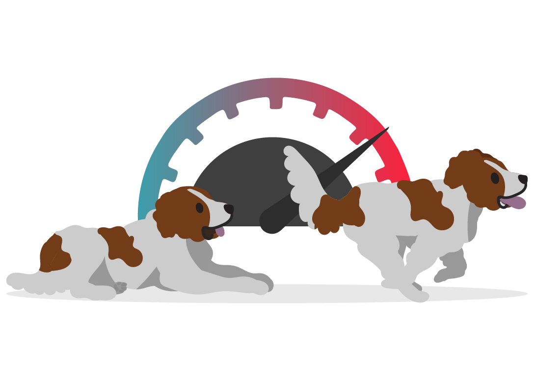 Course: Managing Your Dog's Energy Levels | Positively.com