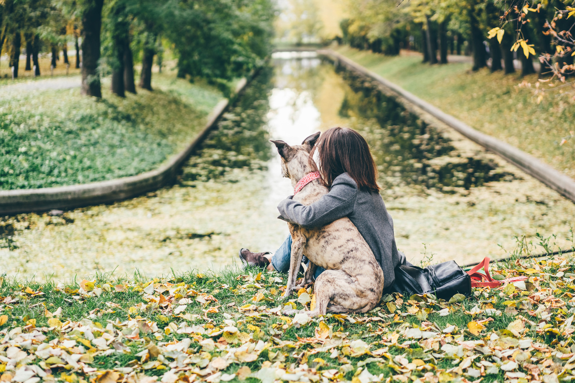 Post: Letter From The Dog | Positively.com