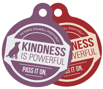 Post: Ten Dog Safety Tips For Autumn | Positively.com