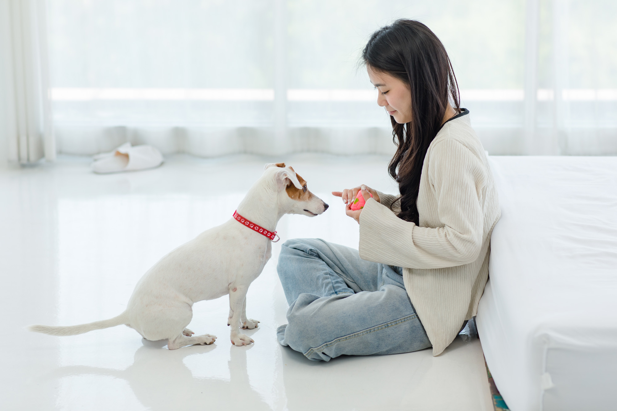Post: Giving Your Dog Rewards Will Lead To Better Behavior | Positively.com