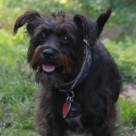 Success Story: Inky Gets Another Chance | Positively.com