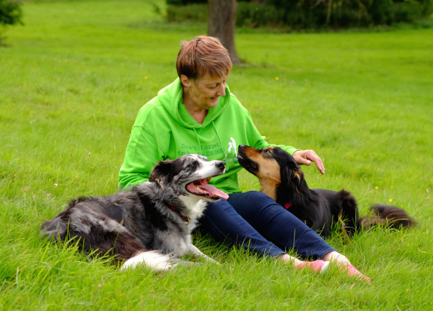 Post: Dog Reactivity - What Actually Is It? | Positively.com