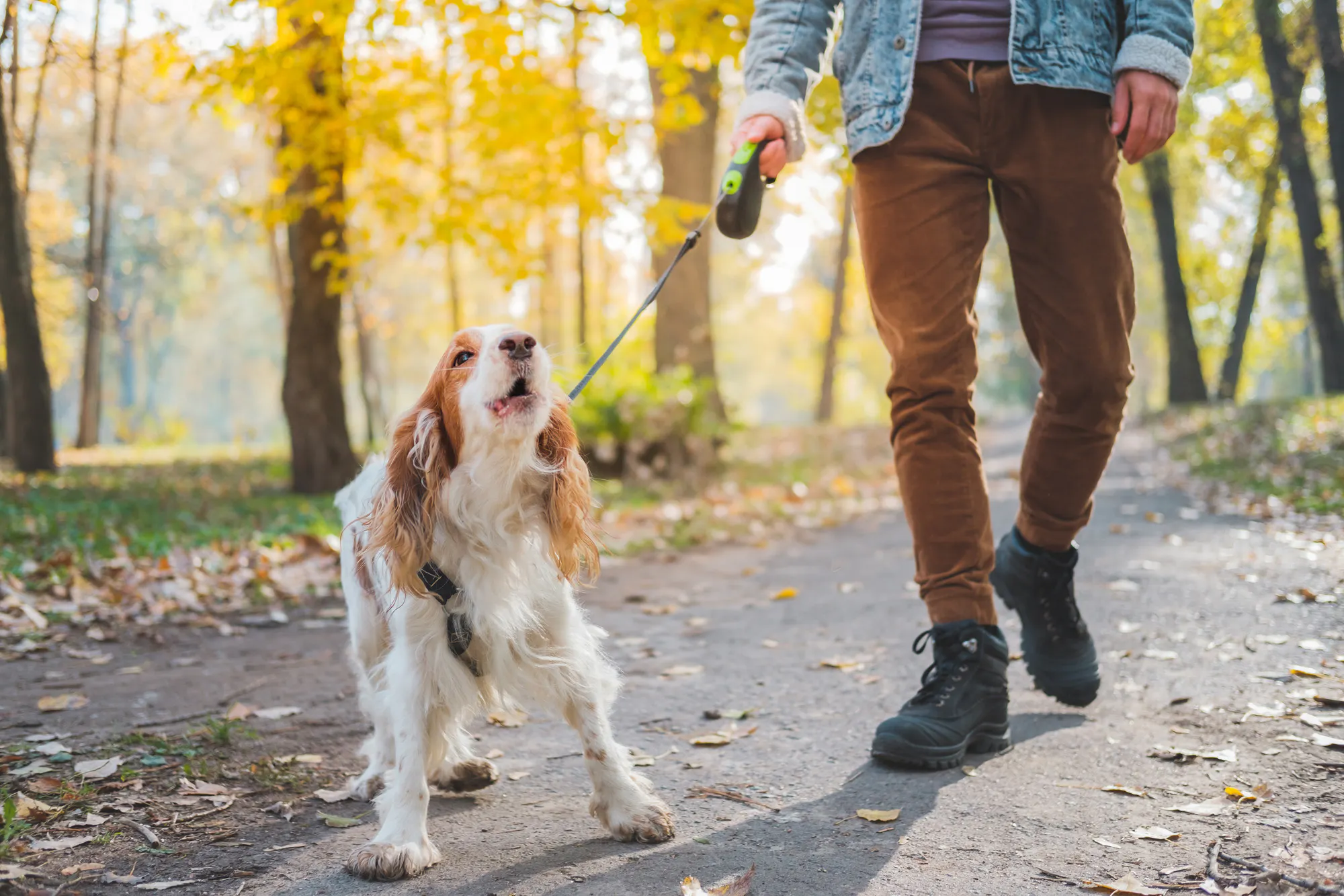 Reactivity | Positively.com
