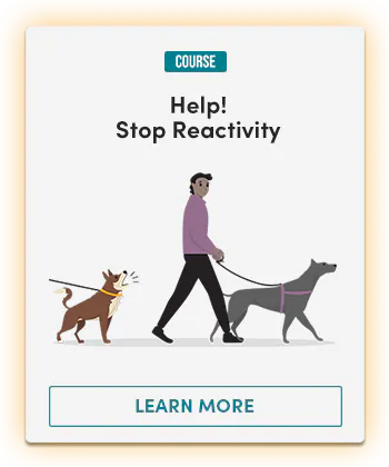 Reactivity | Positively.com