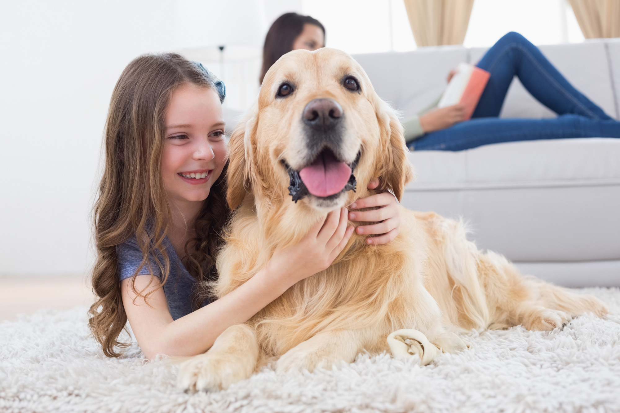 Post: Why We Love Dogs | Positively.com