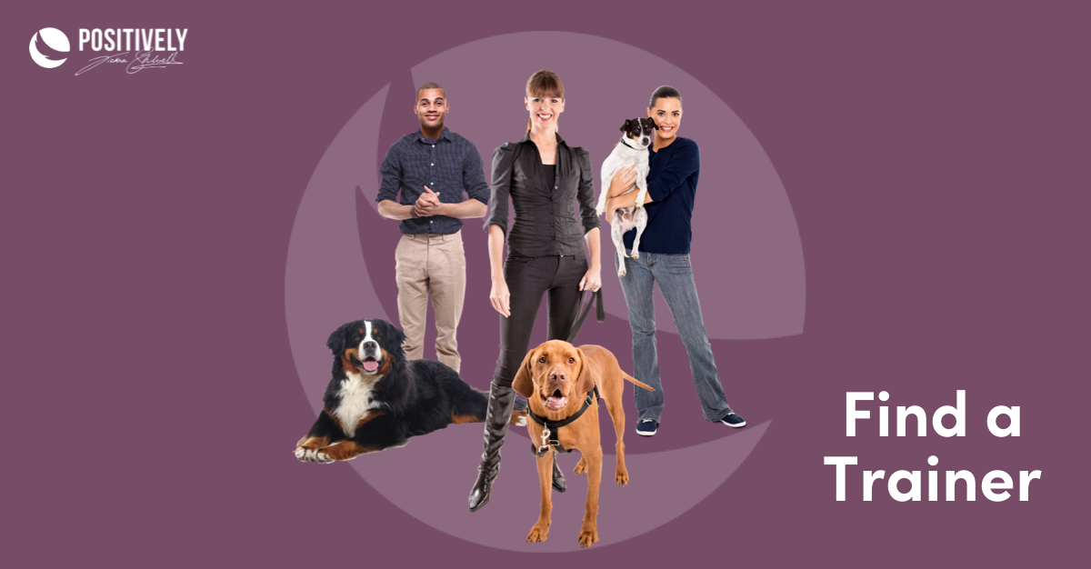 Find A Trainer | Positively.com