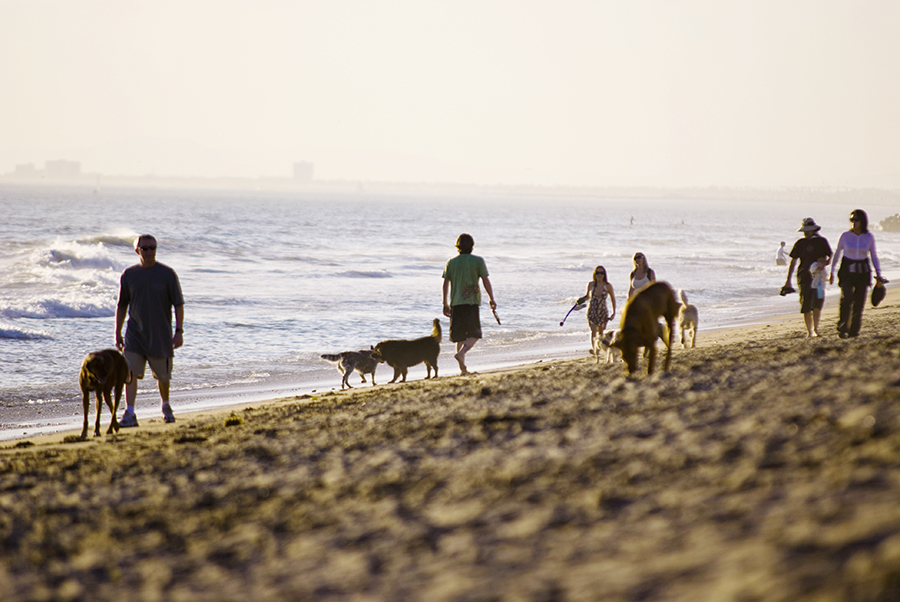 Exercise | Positively.com