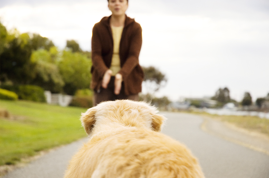 Life Skills | Positively.com