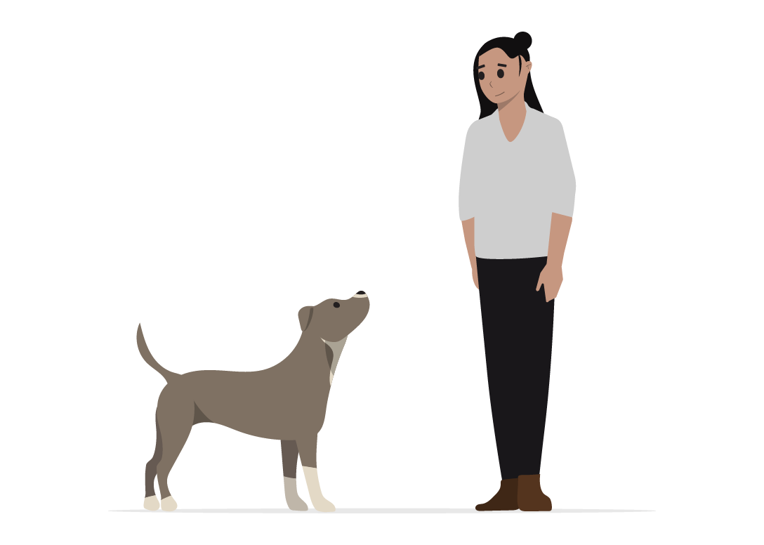 Course: Attention | Positively.com
