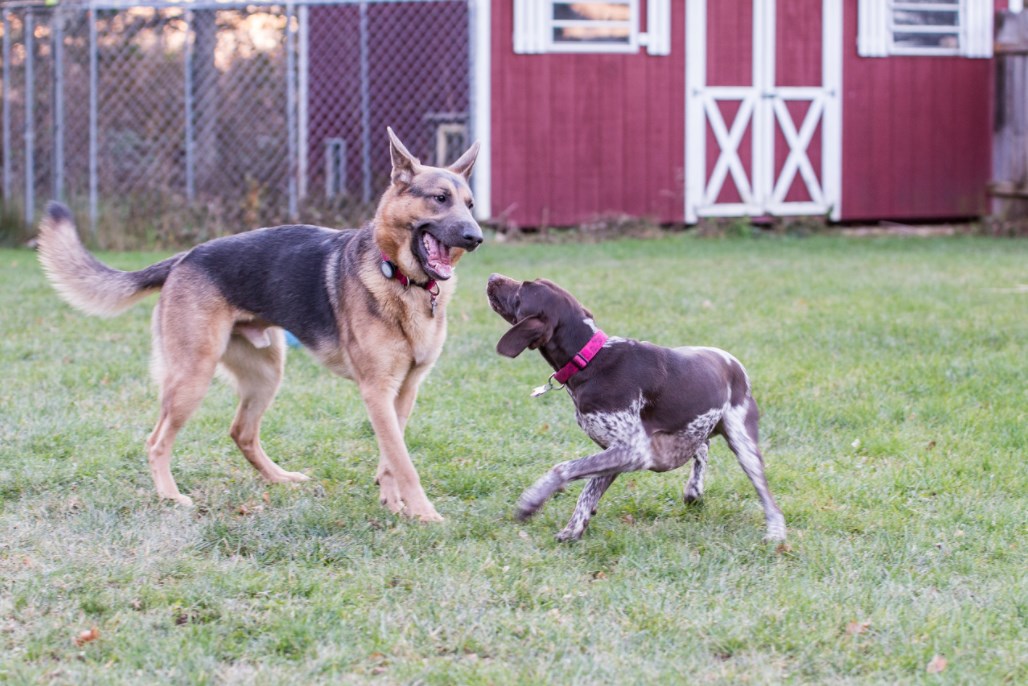 Post: Talking Thresholds | Positively.com