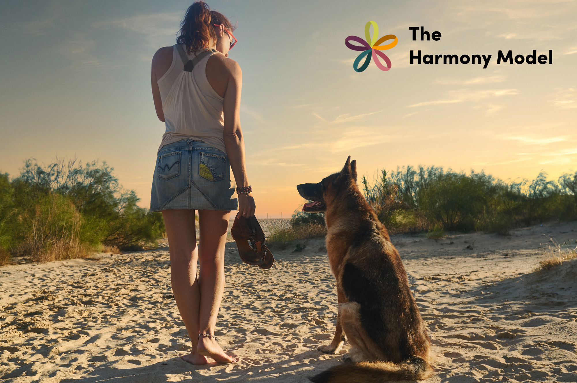 The Harmony Model