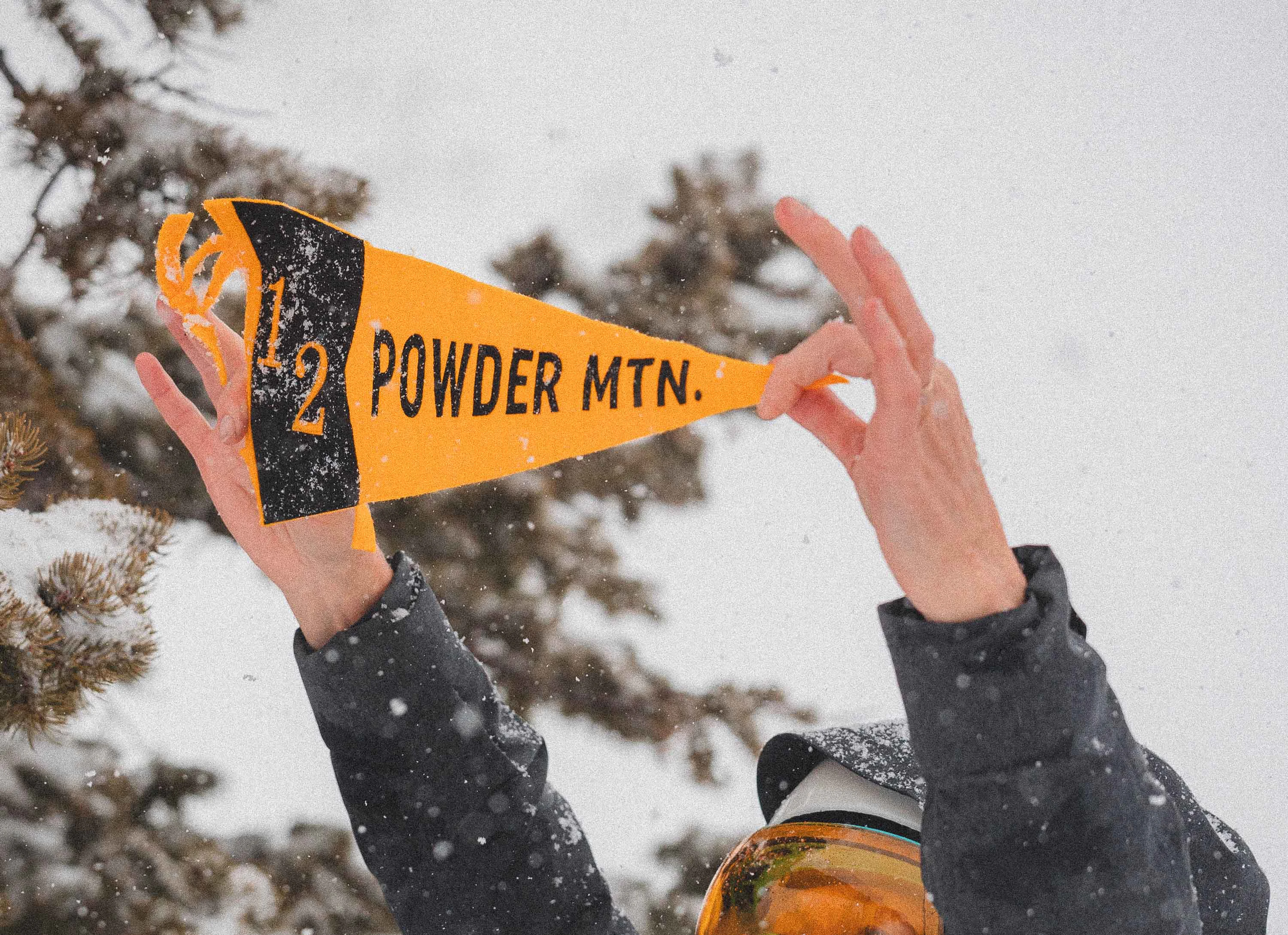 Powder