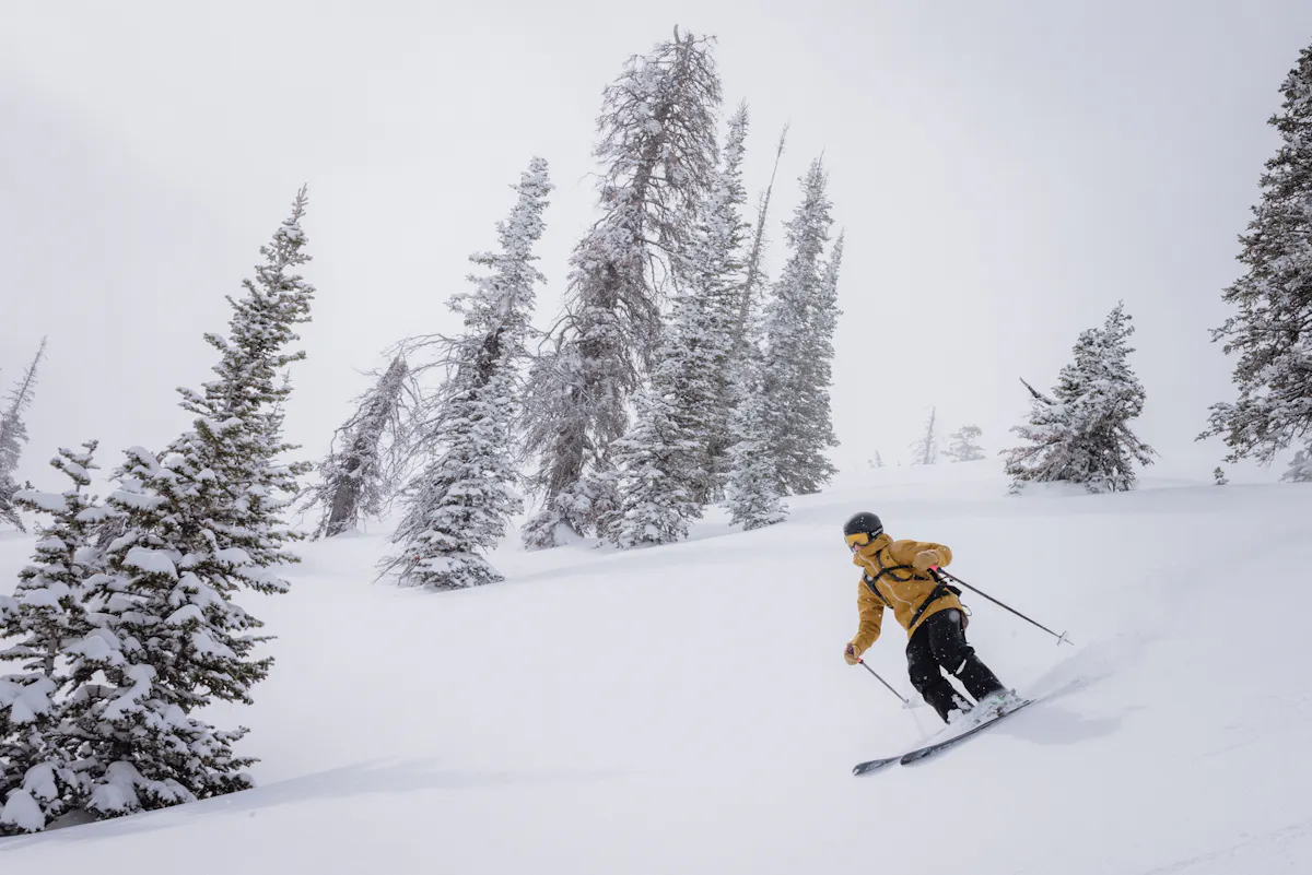 Private Ski and Homes on Powder Mountain | Powder Haven