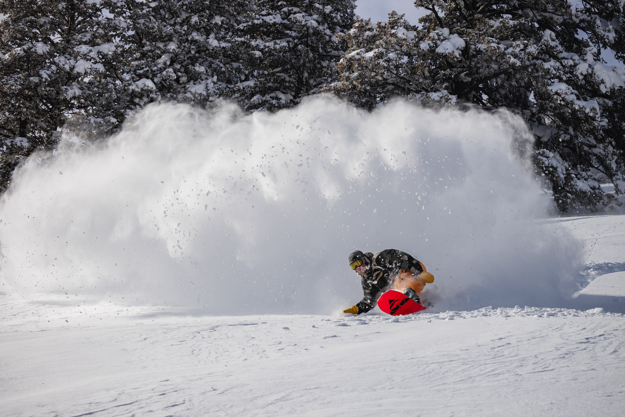 Season Passes – Powder Mountain