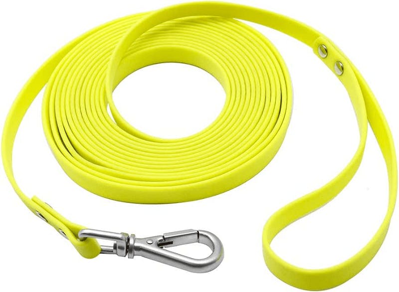 10 Best Waterproof Dog Leashes in 2023