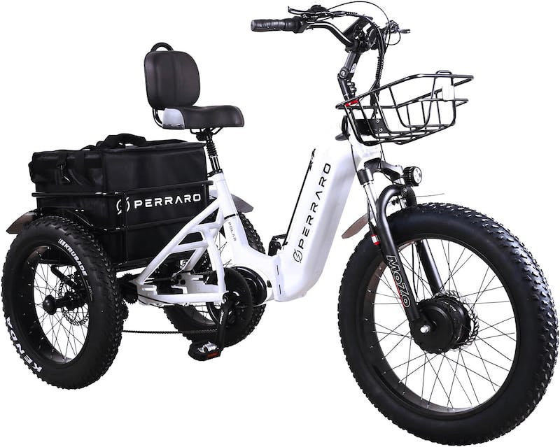 Top 5 Best Folding Electric Trikes